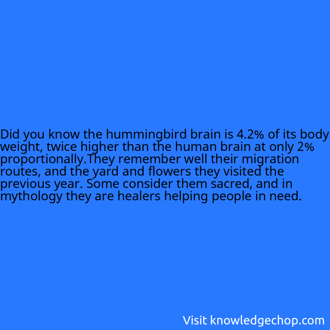 the hummingbird brain is 4.2% of its body weight, twice higher than the ...