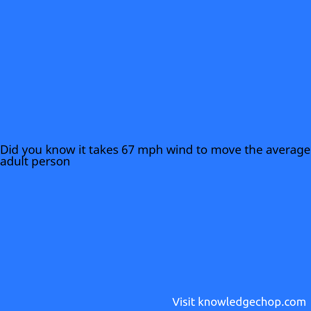 it takes 67 mph wind to move the average adult person | 🥷 Knowledge Ninja