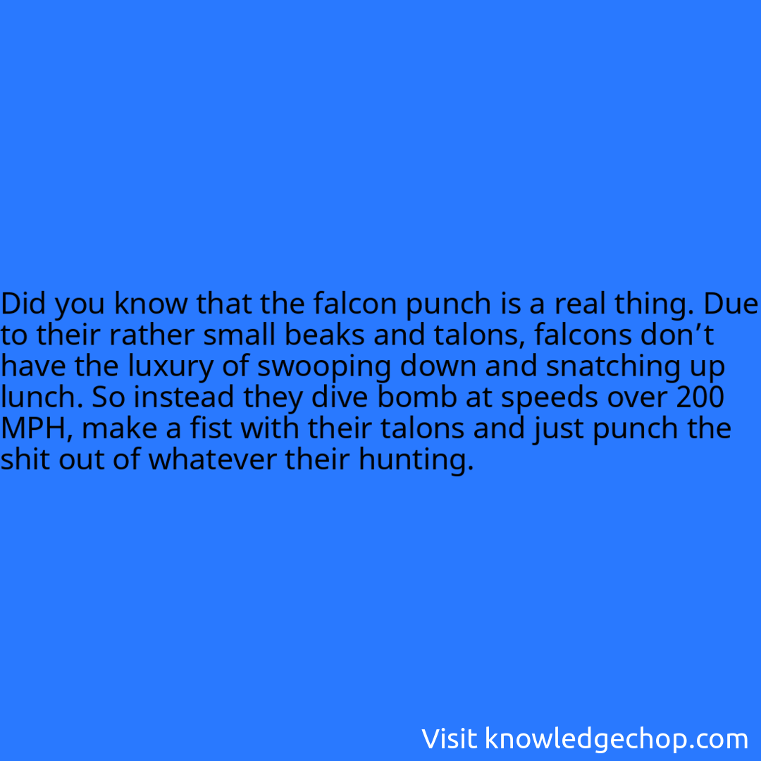 that the falcon punch is a real thing. Due to their rather small beaks ...