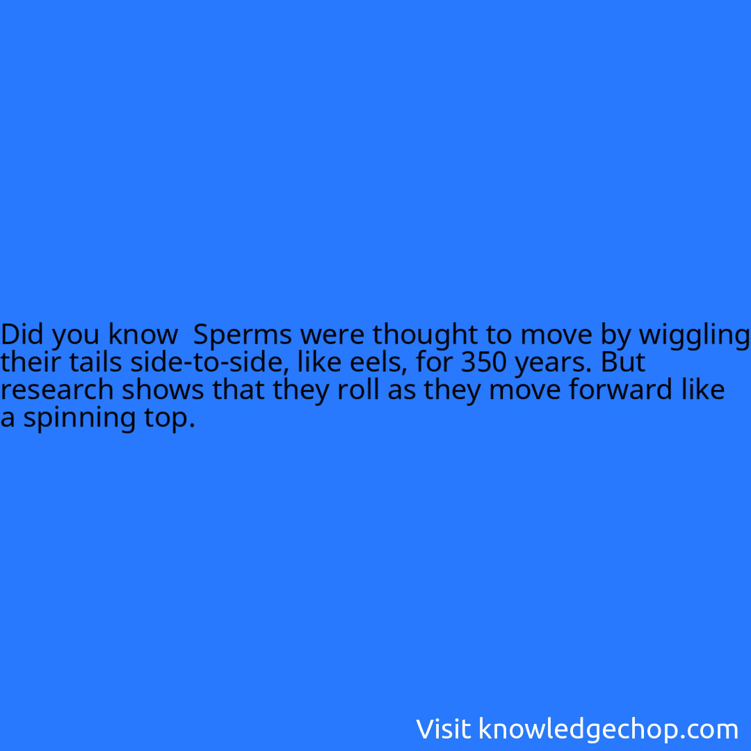 Guide to the meaning of life | 🥷 Knowledge Ninja