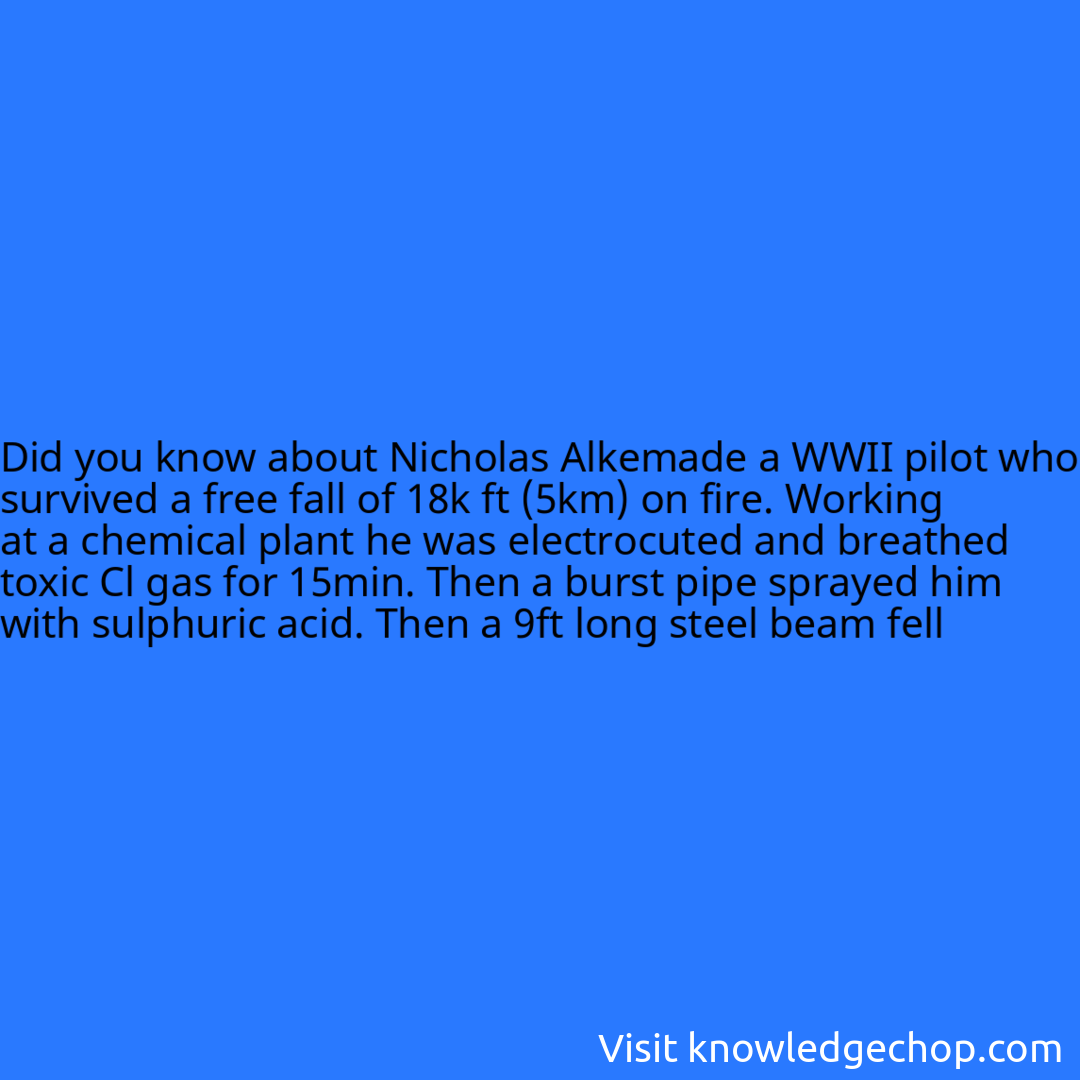 about Nicholas Alkemade a WWII pilot who survived a free fall of 18k ft ...