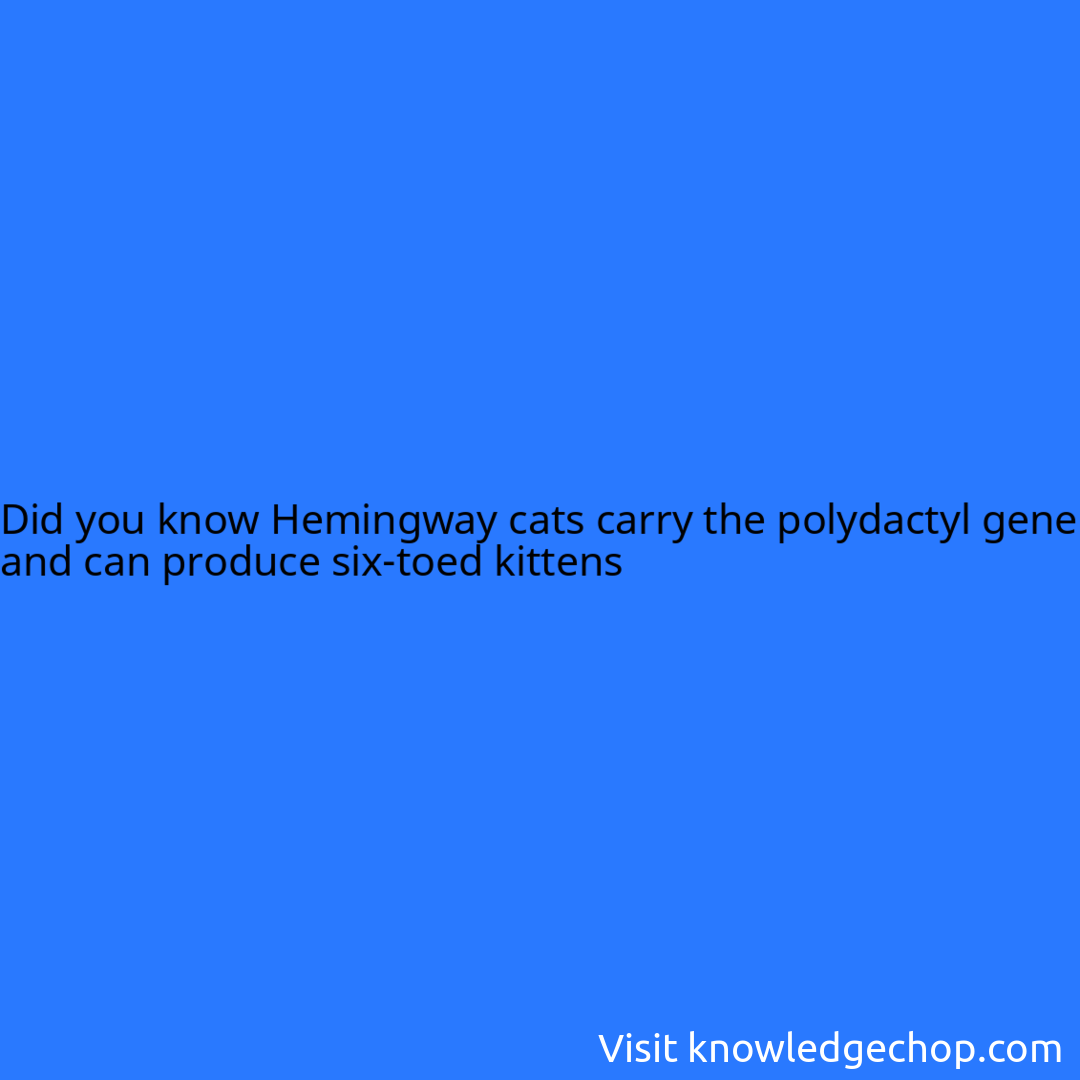 Hemingway cats carry the polydactyl gene and can produce six-toed ...