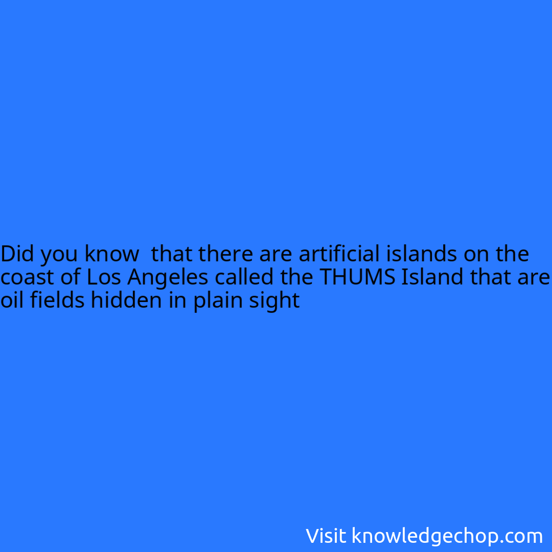 that there are artificial islands on the coast of Los Angeles called ...