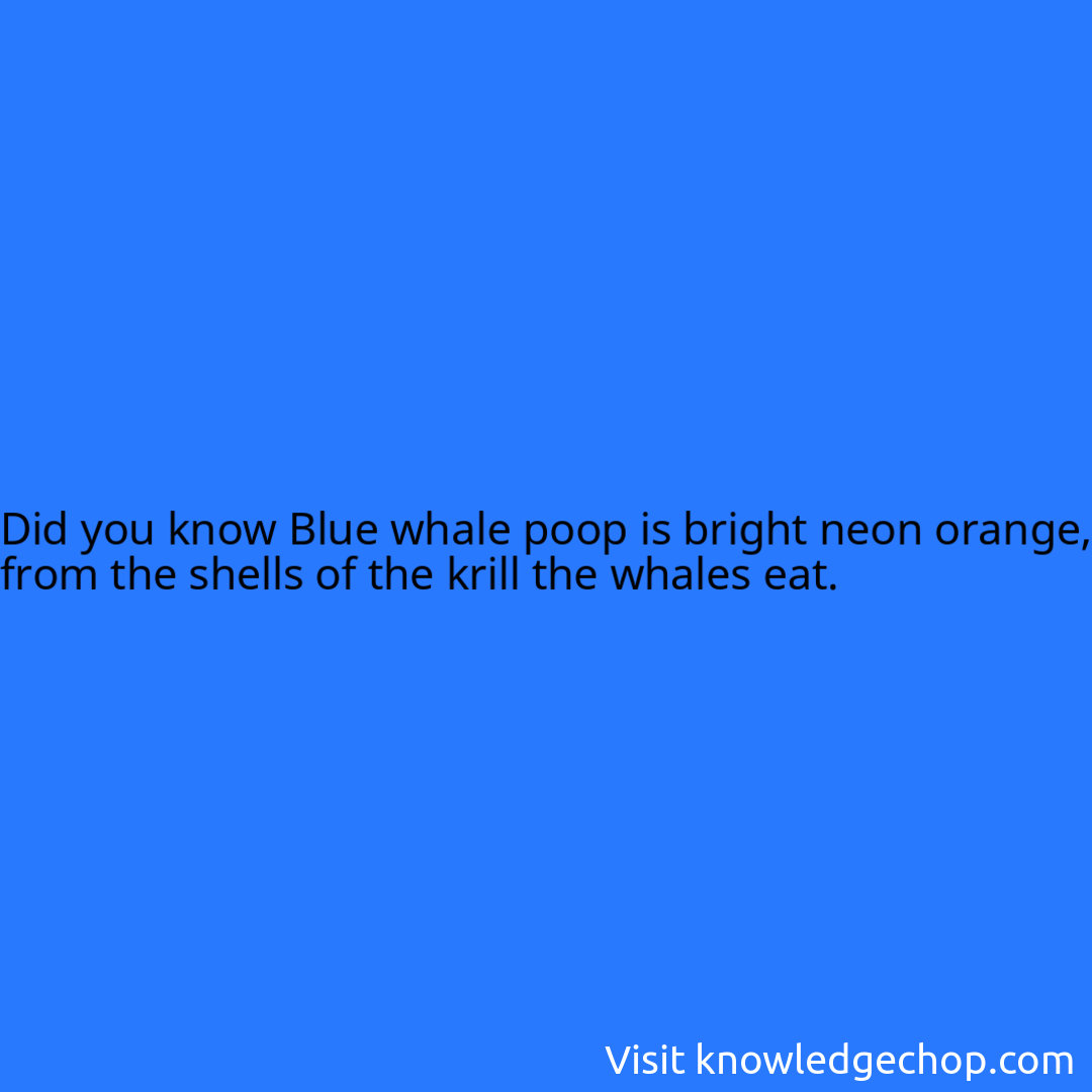 Blue whale poop is bright neon orange, from the shells of the krill the ...
