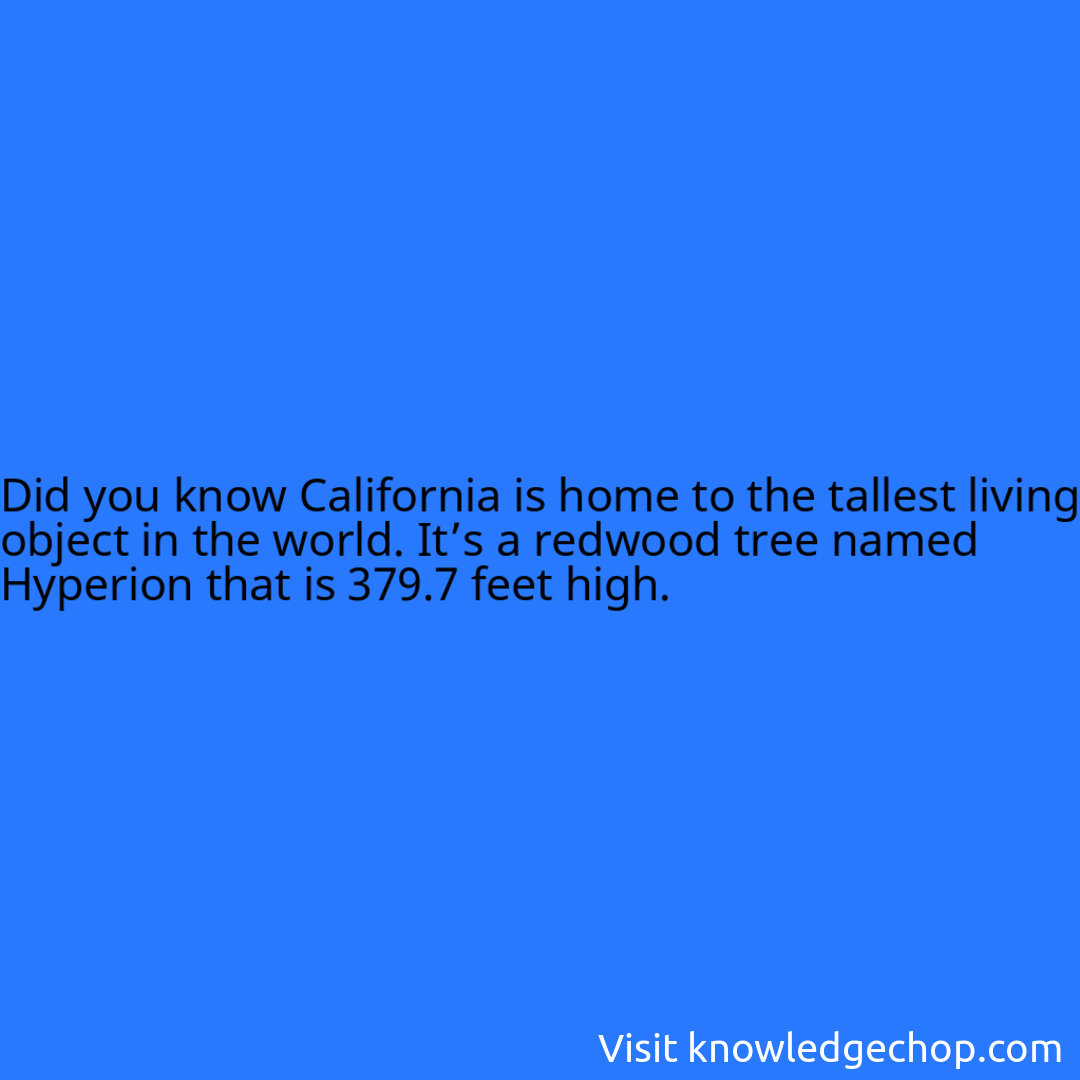 California is home to the tallest living object in the world. It’s a ...