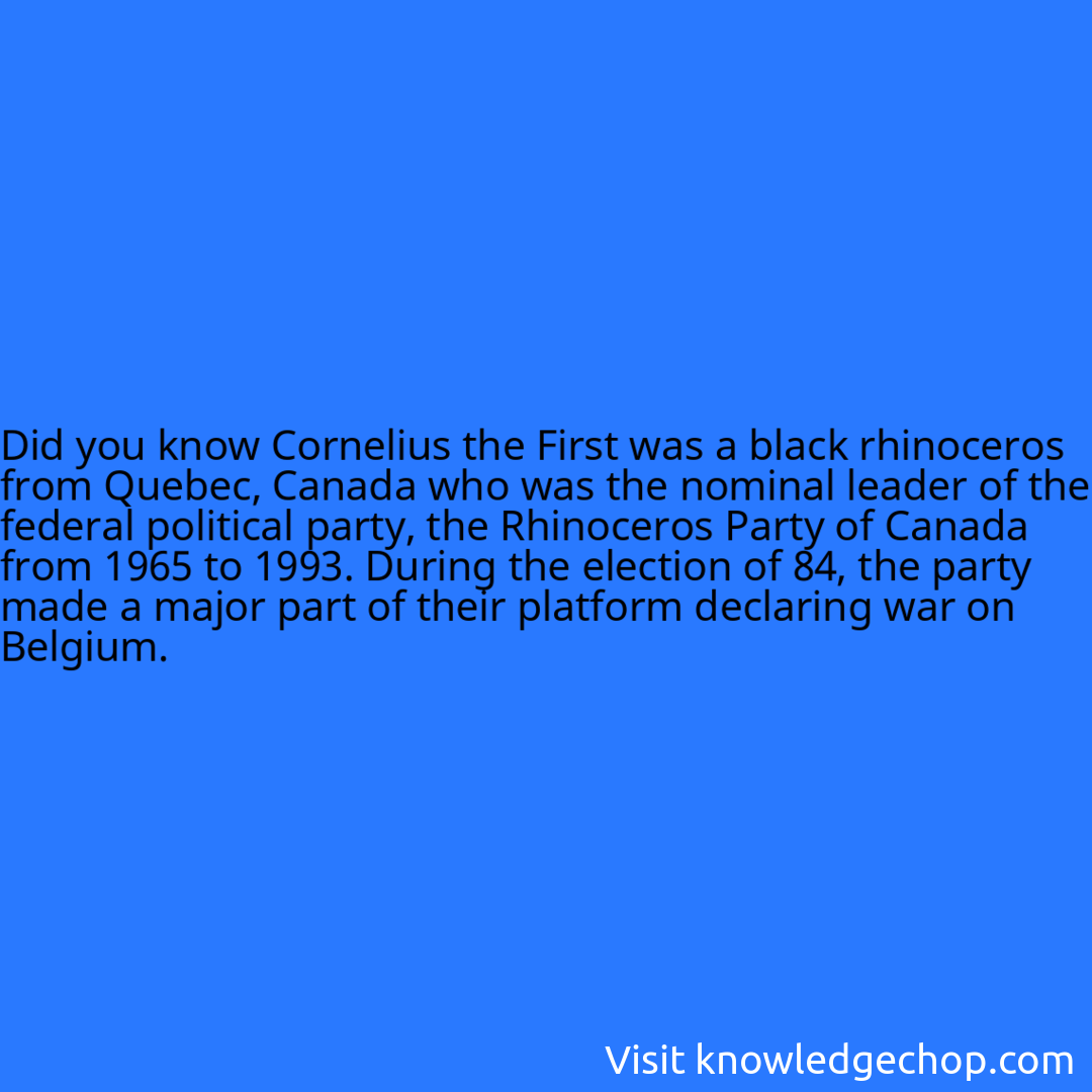 Cornelius the First was a black rhinoceros from Quebec, Canada who was ...