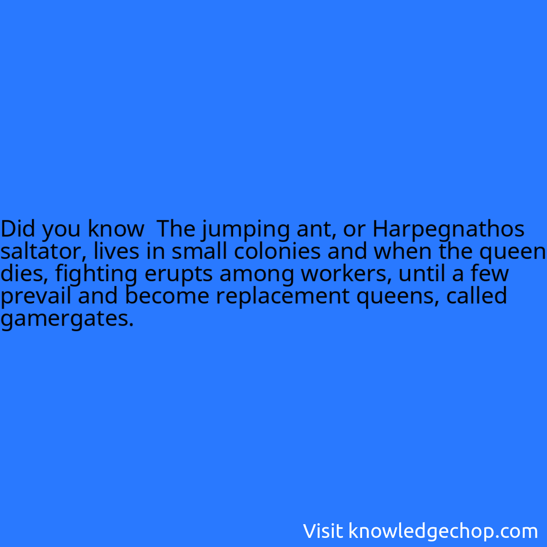 Guide to attachments | 🥷 Knowledge Ninja