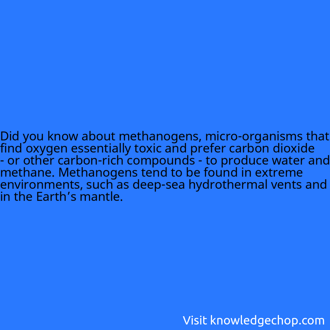 Guide to onions | 🥷 Knowledge Ninja