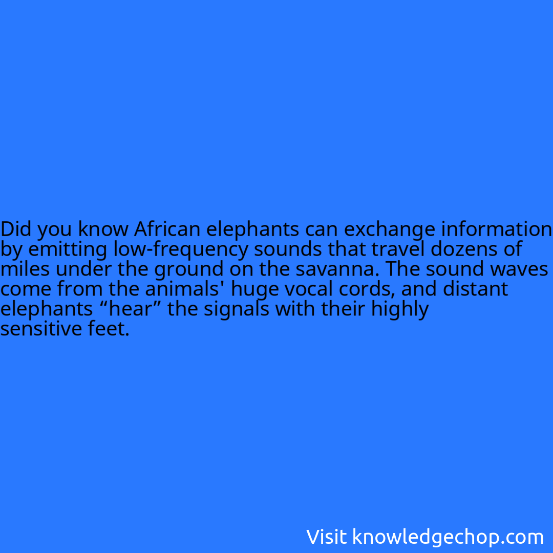 An awesome guide to military tactical hand signals