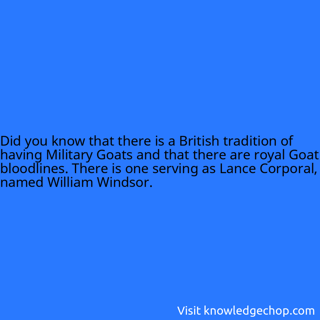 that there is a British tradition of having Military Goats and that ...